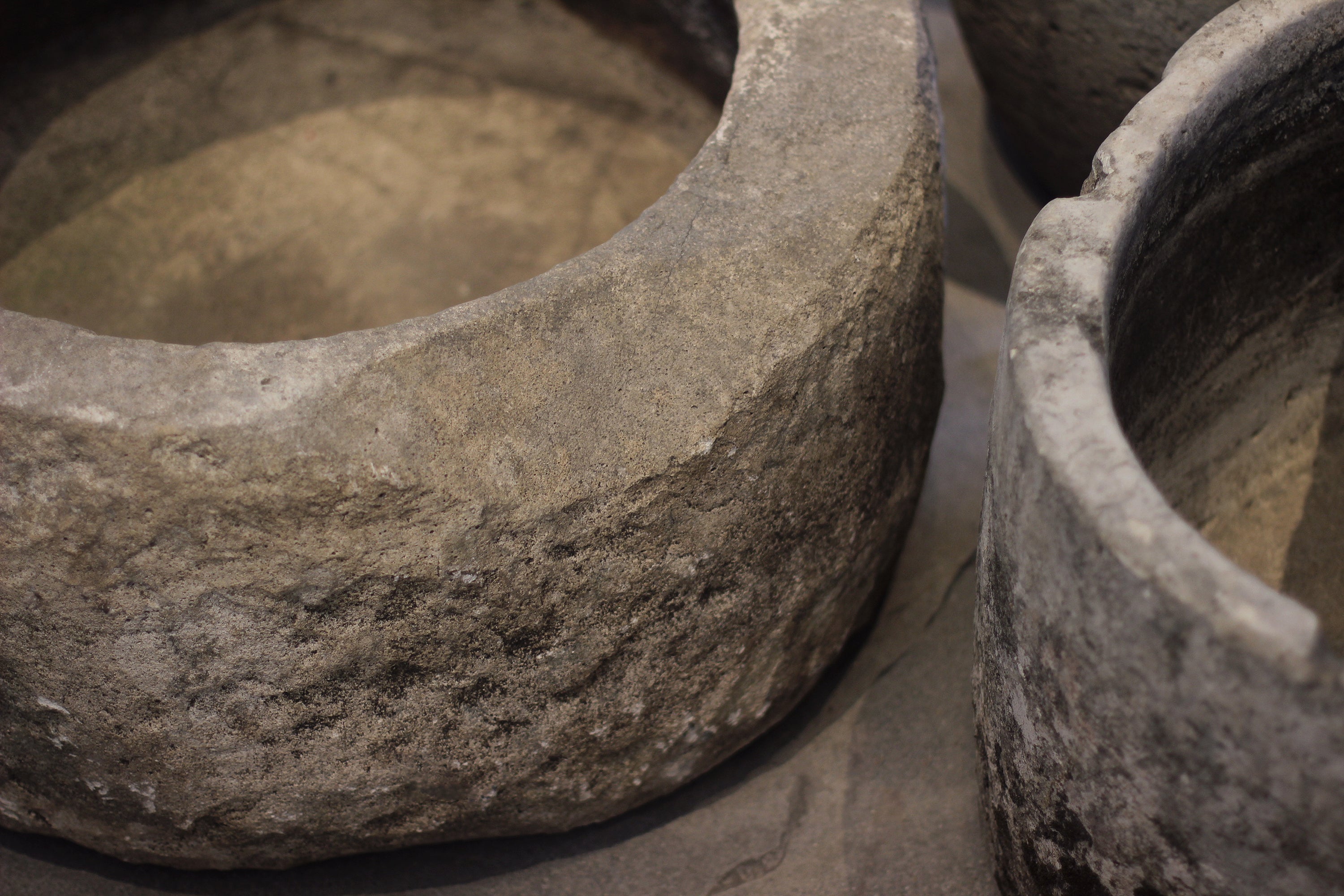 Vintage 29"x15" Stone Pot w/ 9' Black Olive Tree – Lolointeriors